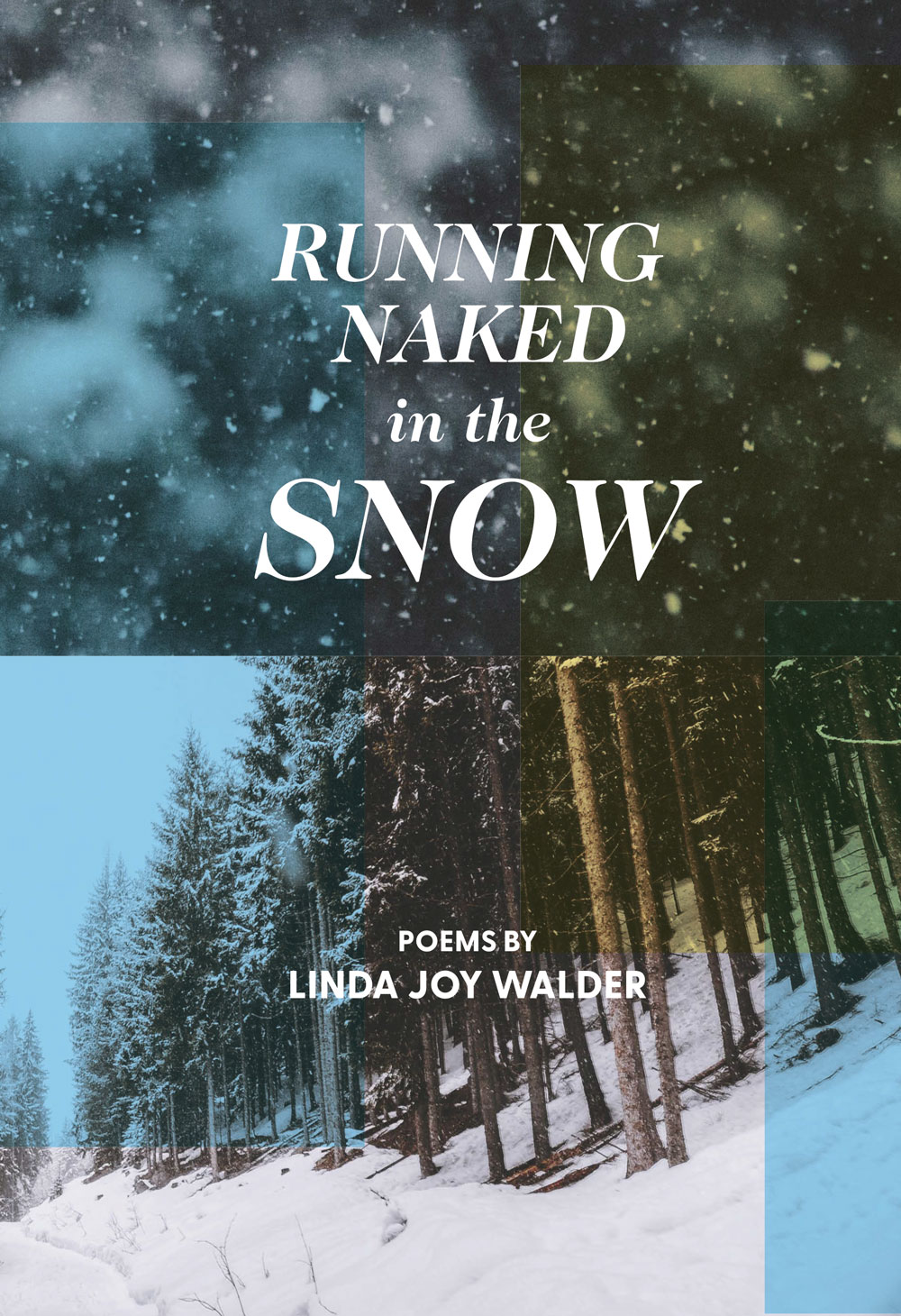 Charleston poet Linda Joy Walder debuts with Free Verse Press - SC Arts Hub