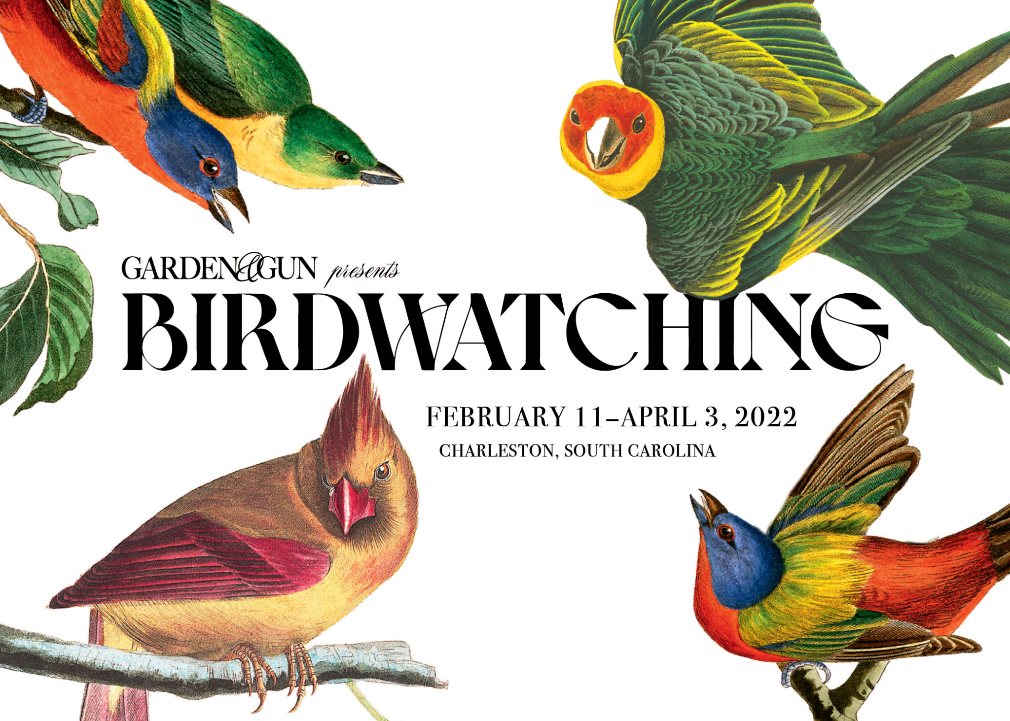 Birdwatching: A Celebration of Art and Conservation - SC Arts Hub