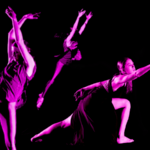 New Koger Center space set for first dance performance - SC Arts Hub