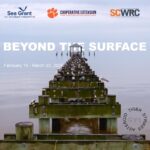 Beyond the Surface - SC Arts Hub