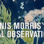 Cora Ennis Morris: Seasonal Observations - SC Arts Hub